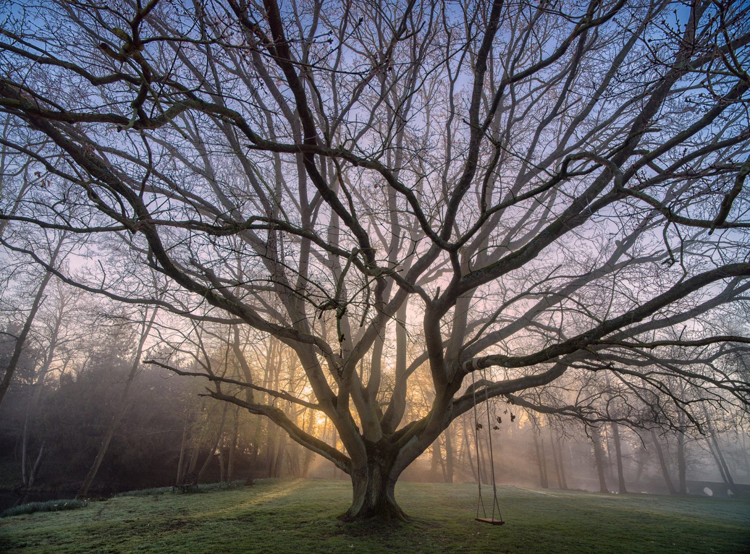 The one with all the Trees - Thicket Priory Wedding Venue And Events