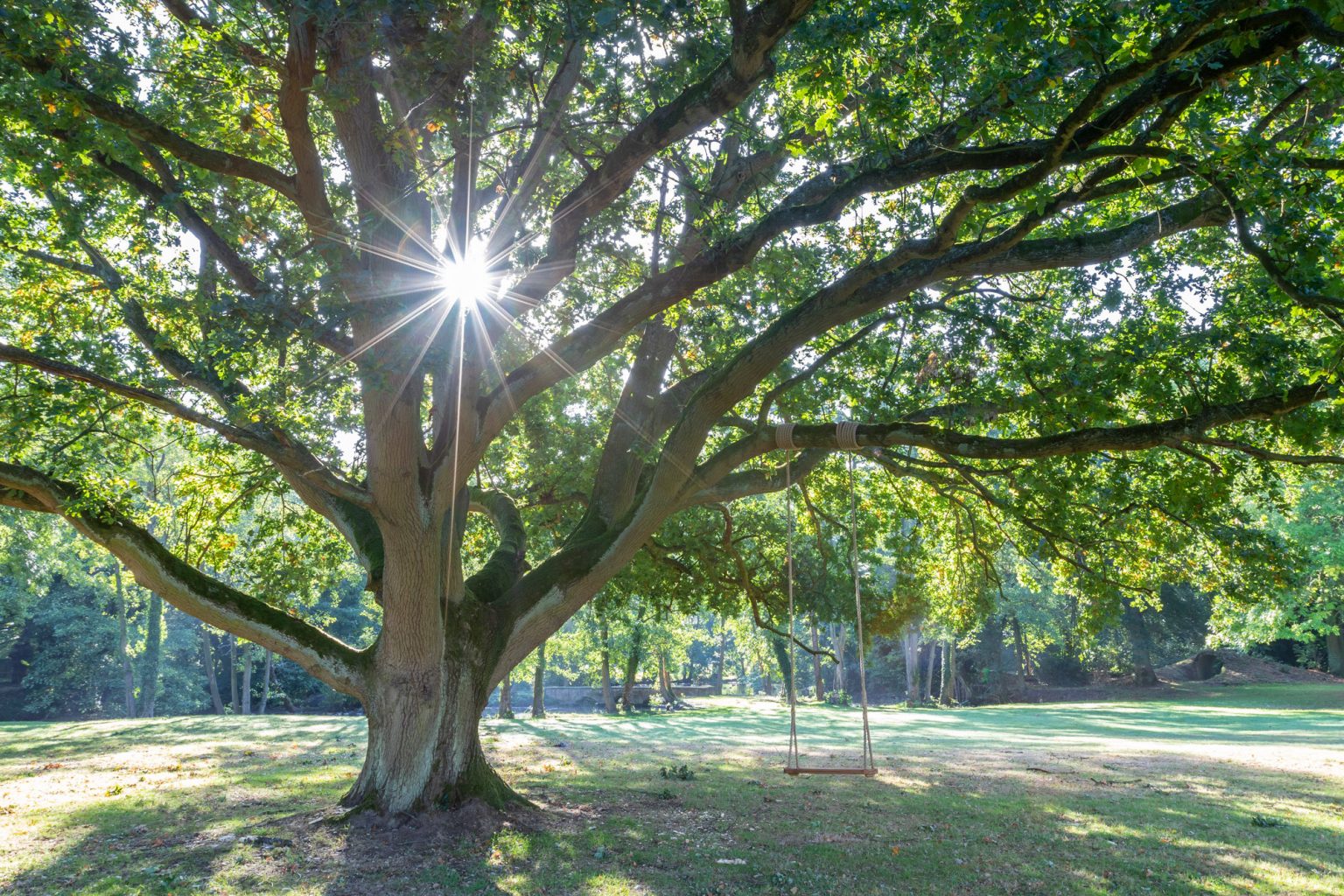 The one with all the Trees - Thicket Priory Wedding Venue And Events